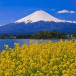 From Tokyo: Mount Fuji Customizable Sightseeing Tour - Who Would Love This Tour?