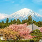 From Tokyo: Mount Fuji Full Day Customizable Private Tour - The Real Value: Comfort, Customization & Authenticity