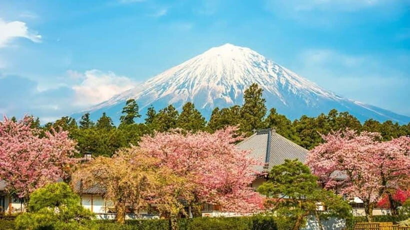 From Tokyo: Mount Fuji Full Day Customizable Private Tour - The Real Value: Comfort, Customization & Authenticity