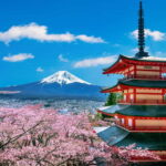 From Tokyo: Mount Fuji Full Day Private Customizable Tour - Who Will Enjoy This Tour?