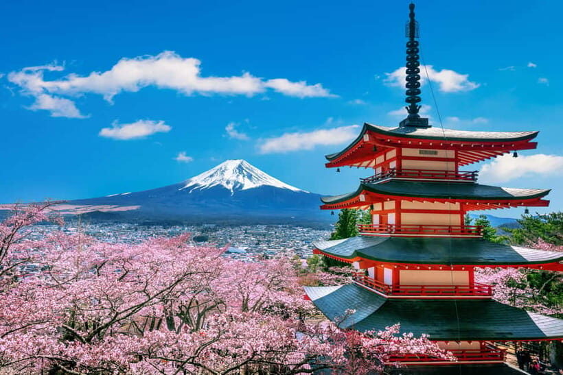 From Tokyo: Mount Fuji Full Day Private Customizable Tour - Who Will Enjoy This Tour?
