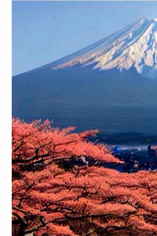 From Tokyo: Mount Fuji Full Day Private Tour English Guide - The Itinerary: What to Expect
