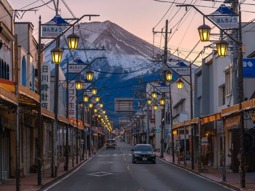 From Tokyo: Mount Fuji One-Day Private Customizable Tour - What Makes This Tour Special?