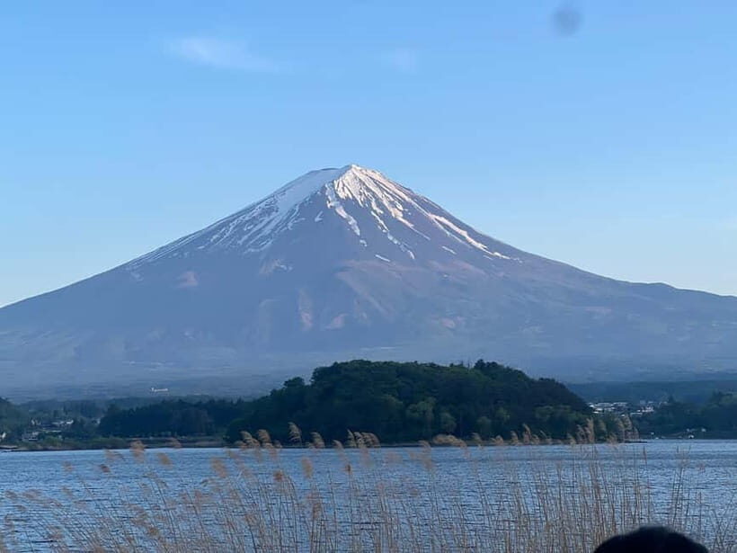 From Tokyo: Mount Fuji Private Tour with a Driver/Guide - Real Experiences from Travelers