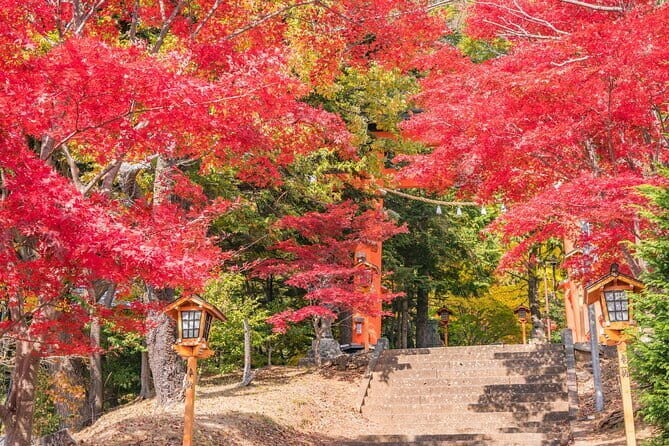 From Tokyo: Mount Fuji Sightseeing One Day Trip - The Practicalities and Value