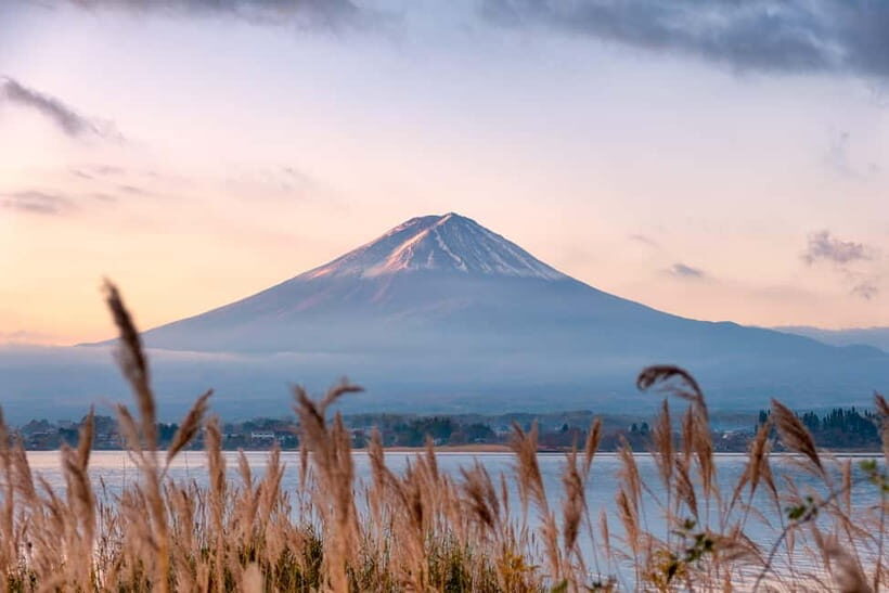 From Tokyo: Mt.Fuji & Gotemba Private Customizable Day Trip. - Why This Tour Might Be Perfect for You