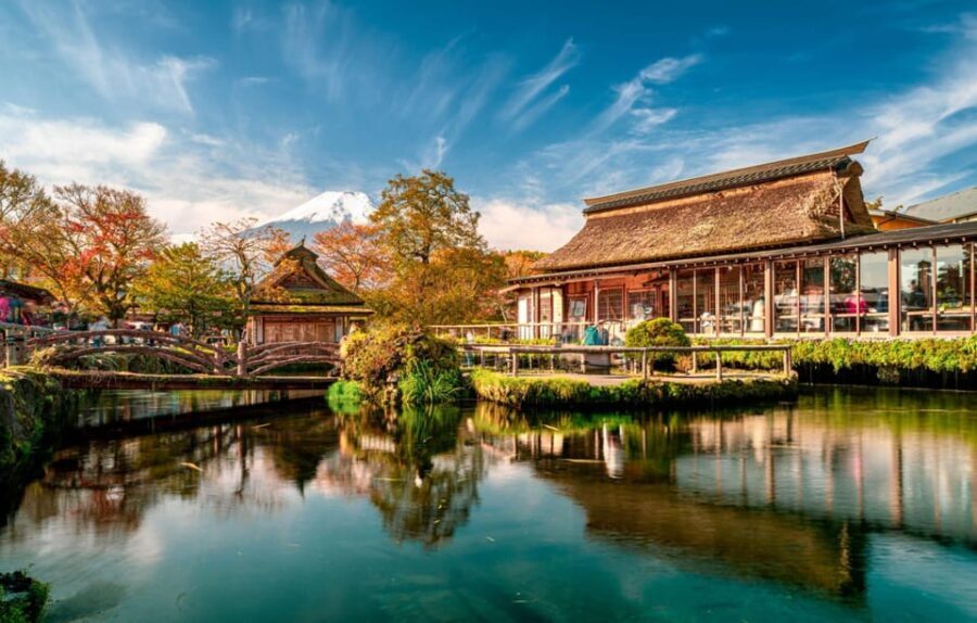 From Tokyo: Mt. Fuji & Hakone Private Day Tour (Low Price) - Scenic Views and Cultural Stops