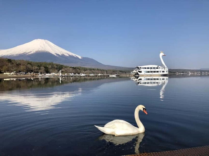 From Tokyo: Mt. Fuji Lawson & Iconic Lakes 1-Day Bus Tour - A Deep Dive into the Experience