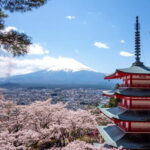 From Tokyo: Mt. Fuji Trekking 1-Day Tour (English Guide) - The Itinerary in Detail: What You Can Expect