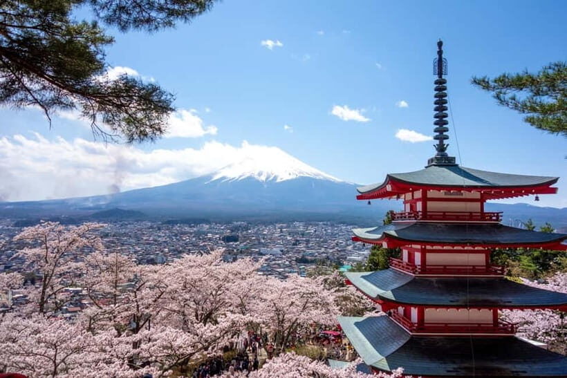 From Tokyo: Mt. Fuji Trekking 1-Day Tour (English Guide) - The Itinerary in Detail: What You Can Expect