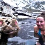 From Tokyo: Nagano Full Day Private Snow Monkey Park Tour - Final Thoughts