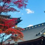 From Tokyo: Nikko Customize private Tour With English Driver - Who Will Love This Tour?