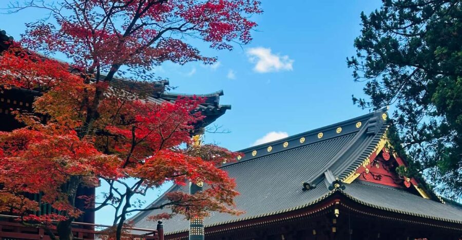 From Tokyo: Nikko Customize private Tour With English Driver - Who Will Love This Tour?