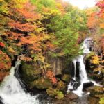 From Tokyo: Nikko World Heritage Site Private Full-Day Trip - A Comfortable Escape from Tokyo’s Hustle