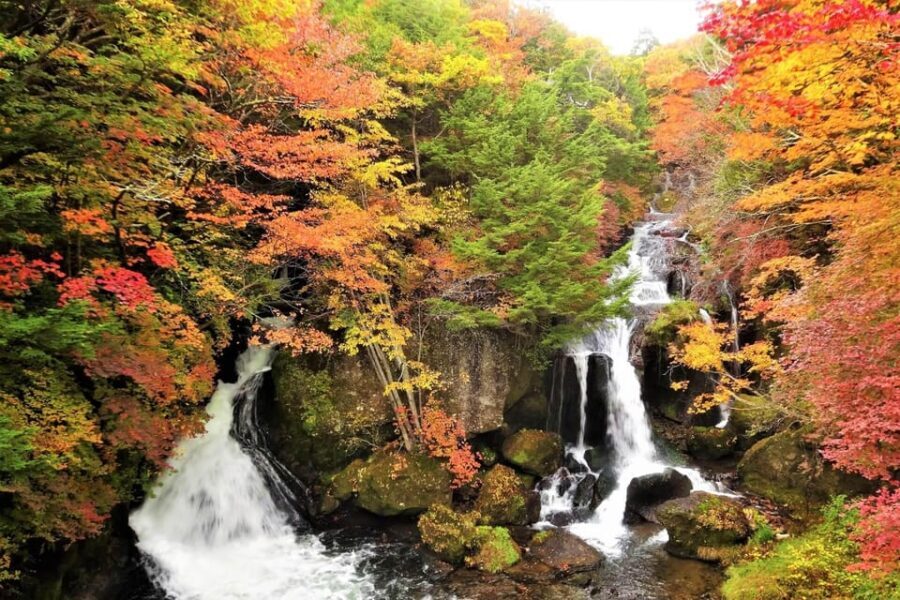 From Tokyo: Nikko World Heritage Site Private Full-Day Trip - A Comfortable Escape from Tokyo’s Hustle