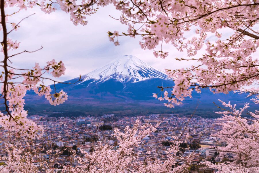 From Tokyo: Private Day Trip to Mount Fuji & Fuji Five lakes - The Itinerary: What Makes It Special