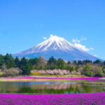 From Tokyo: Private Mount Fuji Day Trip by Car - The Itinerary: What to Expect