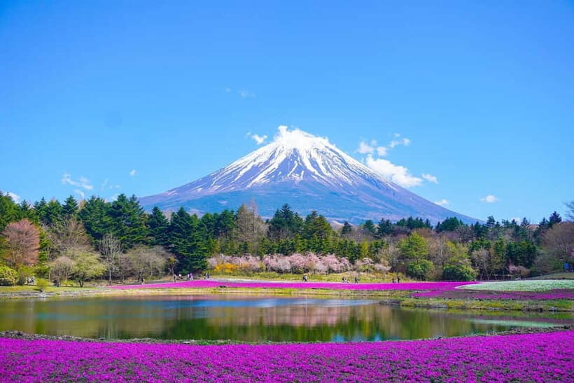 From Tokyo: Private Mount Fuji Day Trip by Car - The Itinerary: What to Expect
