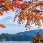 From Tokyo: Private Mt. Fuji and Hakone Tour by Car - Key Points