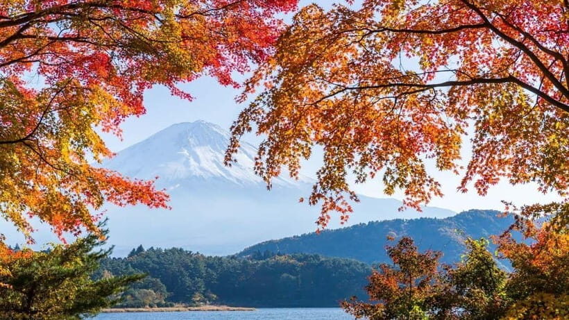 From Tokyo: Private Mt. Fuji and Hakone Tour by Car - Key Points