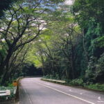 From Tokyo: Private Tour to Fuji/Hakone - Onsen, Art, Nature - Highlights of the Itinerary
