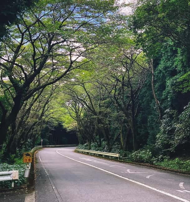From Tokyo: Private Tour to Fuji/Hakone - Onsen, Art, Nature - Highlights of the Itinerary