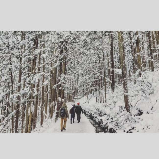 From Tokyo: Snow Monkey Park and Miso Production Day Tour - What to Bring and Considerations