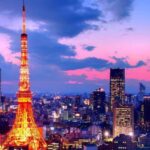 From Tokyo: Tokyo Private Customize Tour With English Driver - The Practicalities: Comfort, Cost, and Convenience