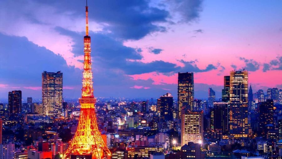 From Tokyo: Tokyo Private Customize Tour With English Driver - The Practicalities: Comfort, Cost, and Convenience