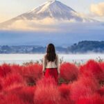 From Tokyo:Mount Fuji Private Customizable Tour With English - The Value of Personalization and Comfort