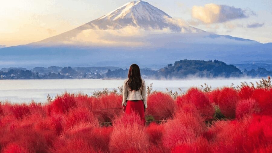 From Tokyo:Mount Fuji Private Customizable Tour With English - The Value of Personalization and Comfort