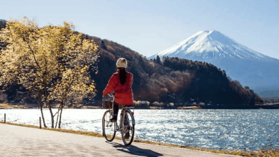 From Tokyo:Mount Fuji private day tour with English driver - What Makes This Tour Stand Out?