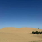 From UB: 2-Days Private Tour to Kharhorin and sand Semi Gobi - What Travelers Say