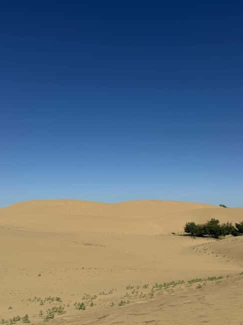 From UB: 2-Days Private Tour to Kharhorin and sand Semi Gobi - What Travelers Say