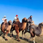 From Ulaanbaatar: 2-Day Kharkhorin and Elsen Tasarkhai Tour - What’s Included and What to Keep in Mind