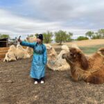 From Ulaanbaatar: Central Mongolia Guided 3-Day Tour - A Detailed Look at the Experience