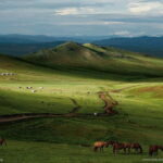 From Ulaanbaatar: Mongolian Culture & Landscapes 10 Day Tour - Who Will Love This Trip?
