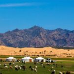 From Ulaanbaatar: Semi Gobi, Nomads, Ancient Kharkhorin Tour - Why This Tour Offers Great Value