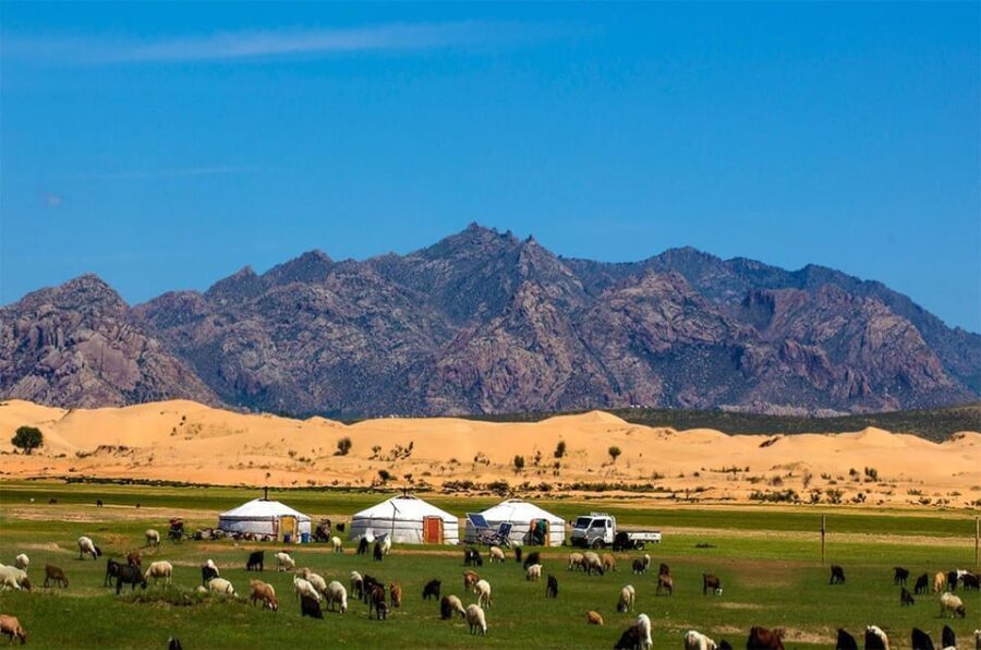 From Ulaanbaatar: Semi Gobi, Nomads, Ancient Kharkhorin Tour - Why This Tour Offers Great Value