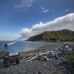 From Wellington: Kapiti Island Classic Guided Day Tour - Cost and Value for Money