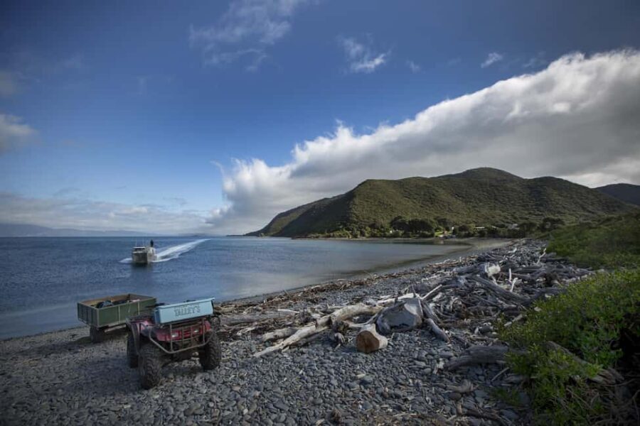 From Wellington: Kapiti Island Classic Guided Day Tour - Cost and Value for Money