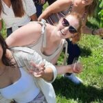 From Wellington: Martinborough Winery Tour - The Route and Scenic Highlights
