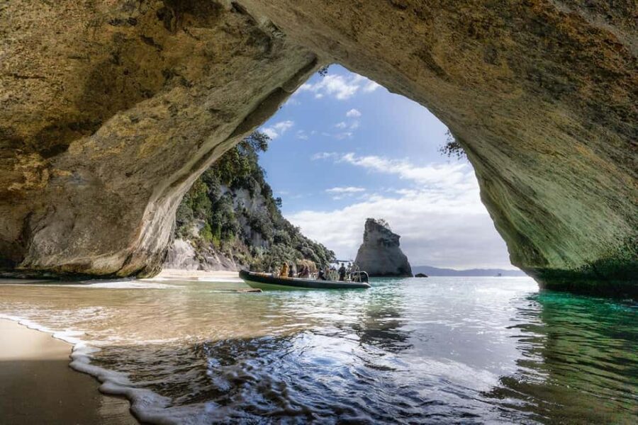 From Whitianga: Cathedral Cove Cruise with Snorkeling - Who Will Love This Tour?