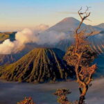 FROM YOGYAKARTA: 3D2N BROMO & IJEN VOLCANO - What’s Included and What’s Not