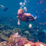 From Yogyakarta: Private 3-Day Karimunjawa Island Tour - What Really Sets This Tour Apart