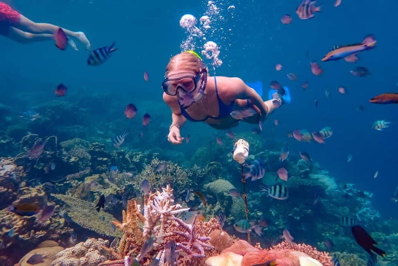 From Yogyakarta: Private 3-Day Karimunjawa Island Tour - What Really Sets This Tour Apart