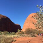 From Yulara: 3-Hour Small Group Kata Tjuta Afternoon Tour - What Could Be Improved