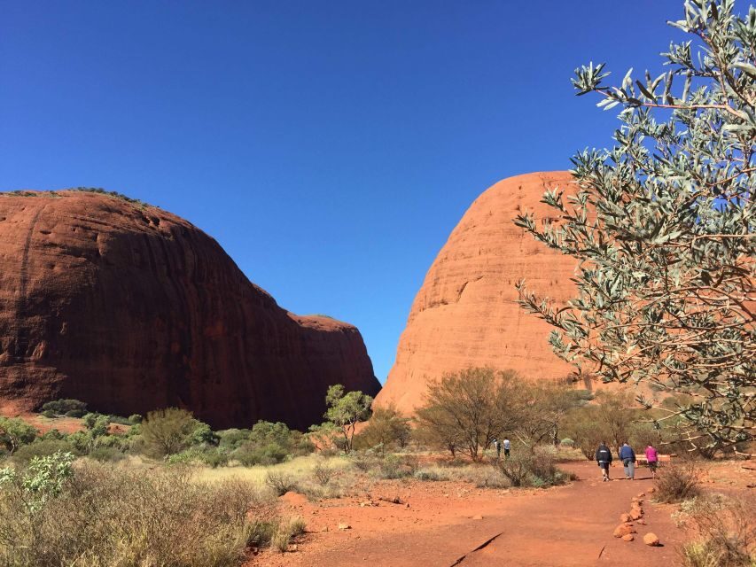 From Yulara: 3-Hour Small Group Kata Tjuta Afternoon Tour - What Could Be Improved