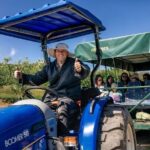 Fruit Picking & Nature Private Tour Yarra Valley & Warburton - Final Thoughts: Is This Tour for You?