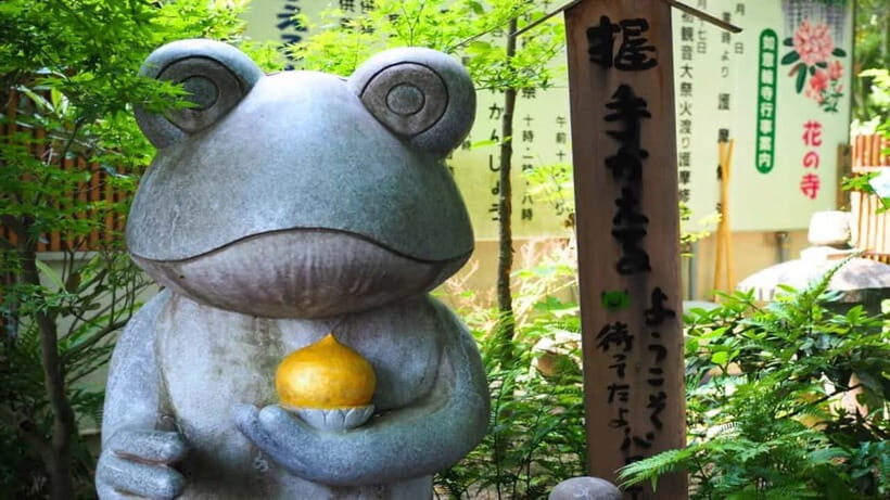 Fukuoka: Beppu Hells HotSpring, Frog Temple & Yufuin DayTrip - Key Points